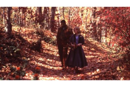 The Best Fall Movies To Watch During The Autumn Season - Cinema Dailies